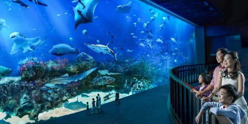 Singapore: Singapore Oceanarium Entrance E-Ticket - Authentic Experiences From Visitors
