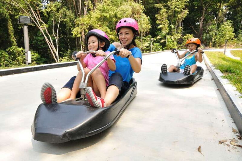 Singapore: Skyline Luge Sentosa Tickets - The Experience: What You Can Expect