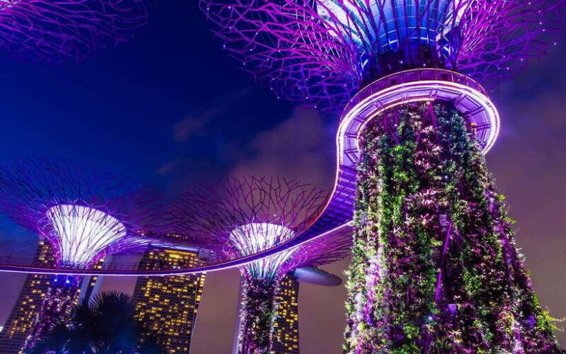 Singapore Starry Night: Cruise, Garden Rhapsody & Spectra - The Value for Money