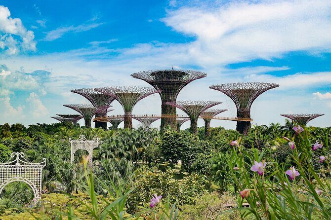 Singapore Street Food Tour with a Local: A Feast for Foodies 100% Personalized - FAQ