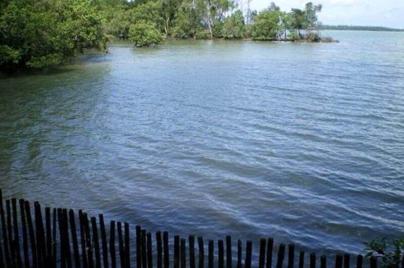 Singapore: Sungei Buloh Wetland Reserve Private Tour - Key Points