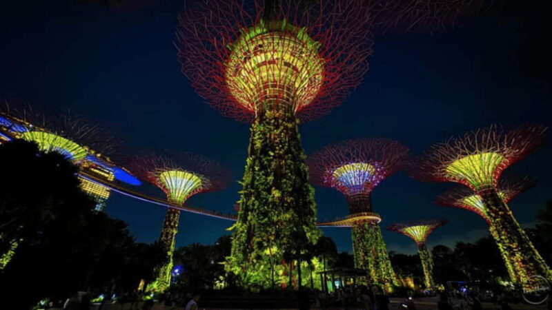 Singapore: Sunset River Cruise and Glittering Light Shows - An In-Depth Look at the Experience