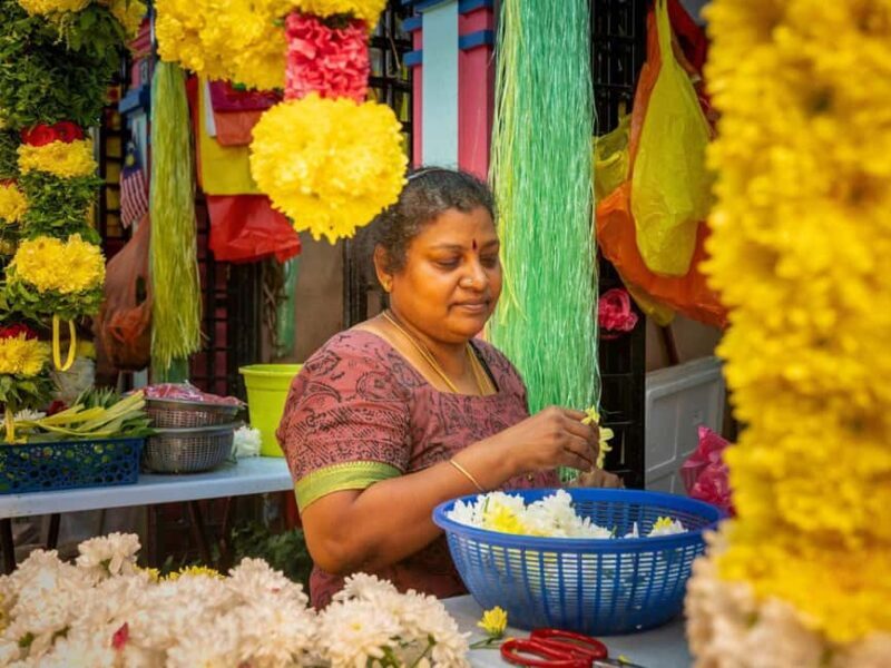 Singapore: Temples, Chinatown and Little India Private Tour - An Introduction to Singapore’s Cultural Heartbeat