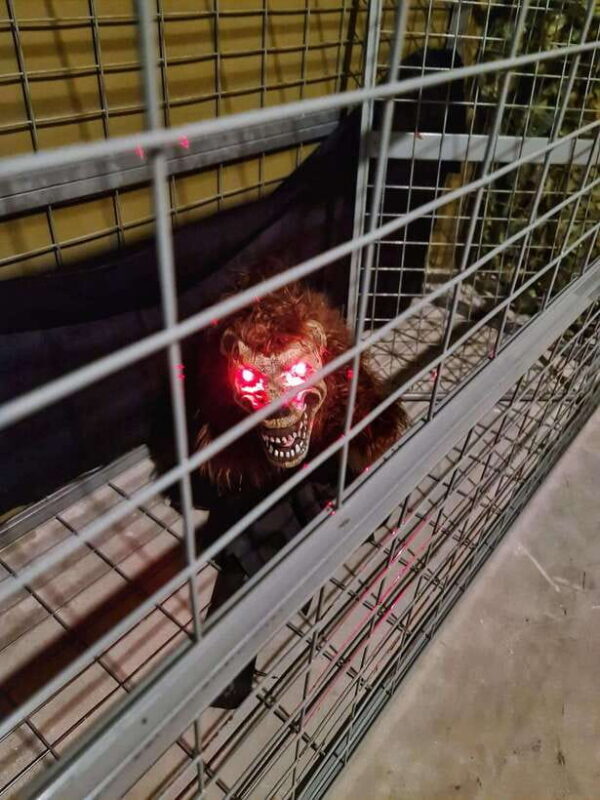 Singapore: Trapped Escape Room Entry Ticket - Final Thoughts: Is It Worth It?