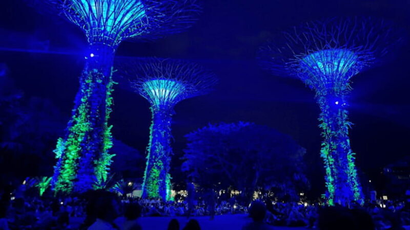 Singapore: Twilight Tour with River Cruise and Light Shows - Who Will Love This Tour?