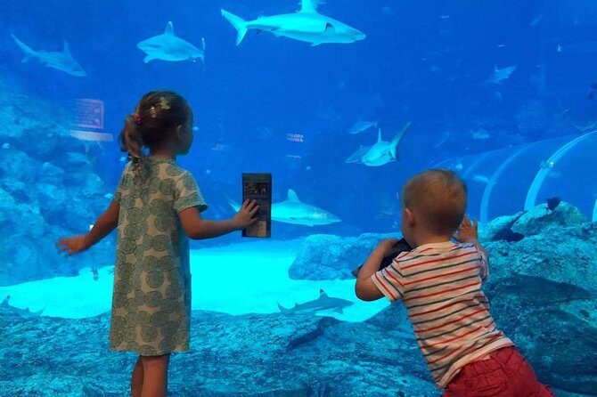 Singapore Universal Studio & S.E.A Aquarium-COMBO One-Day Pass(Shared transfer) - The Realities of the Tour: Pros and Cons