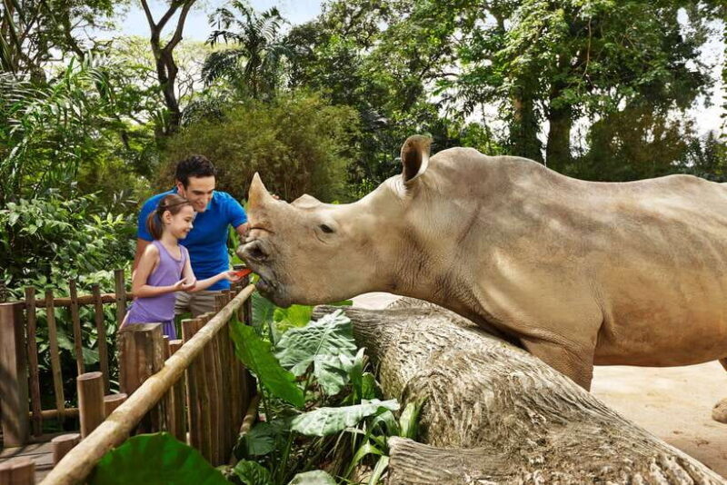 Singapore Zoo: 1-Day Entrance E-Ticket - Key Points