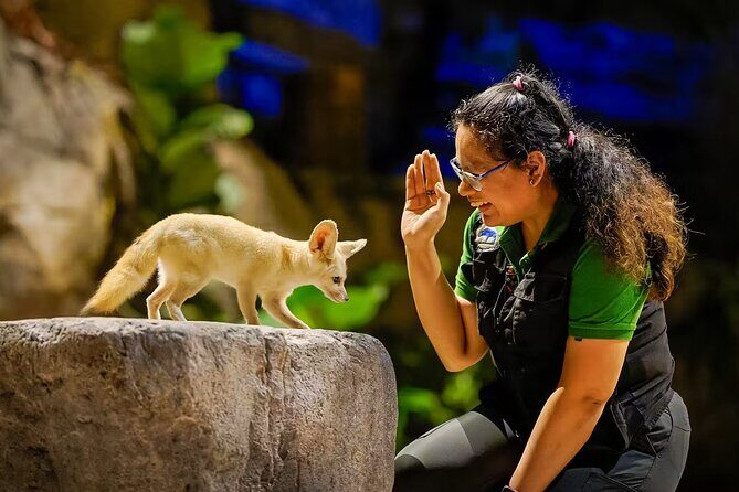 Singapore Zoo and Night Safari Tickets - Overview of the Experience