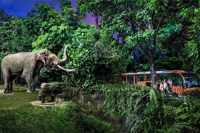 Singapore Zoo and Night Safari Tickets - The Sum Up