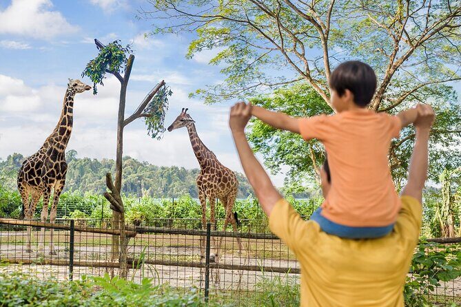 Singapore Zoo Entry Ticket - What’s on the Itinerary?