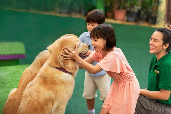 Singapore Zoo Entry Ticket - Authentic Traveler Perspectives