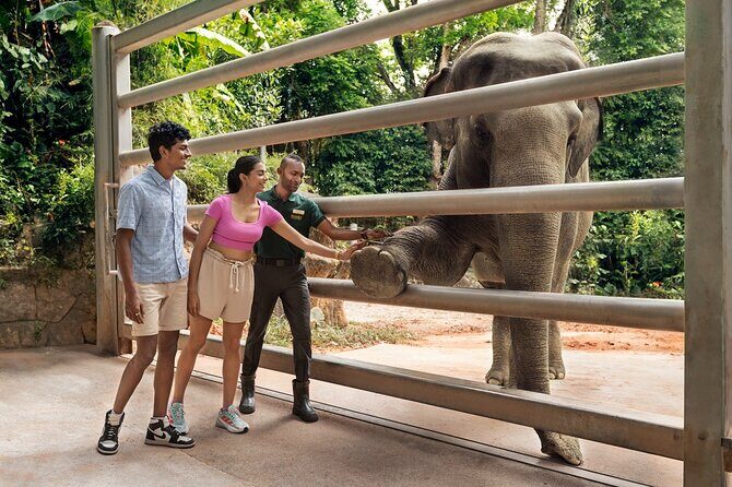 Singapore Zoo Entry Ticket - Transportation and Practical Tips