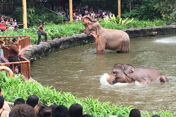 Singapore Zoo & Night Safari Day ( Tickets & Transfer ) - Transport and Booking Logistics