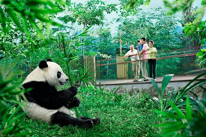 Singapore Zoo & Night Safari Day ( Tickets & Transfer ) - FAQ