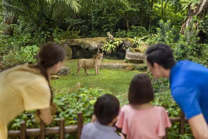 Singapore Zoo Ticket with Tram Mandai Wildlife Reserve, Singapore - Key Points