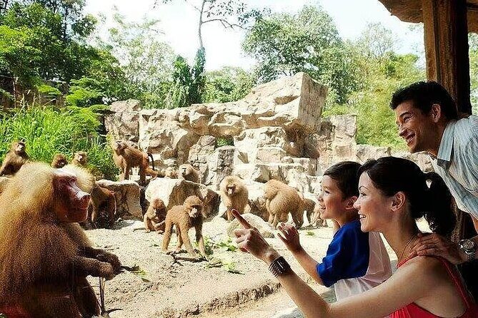 Singapore Zoo with Tram Ride Experience for Tourist - What Makes the Singapore Zoo with Tram Ride Stand Out?