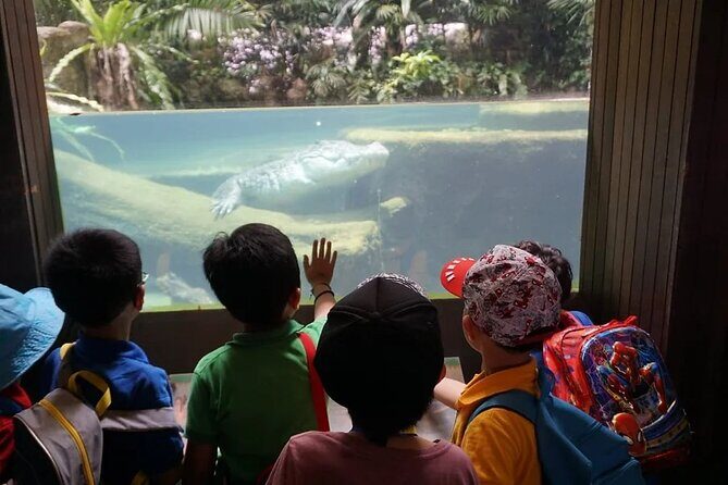 Singapore Zoo with Tram Ride Experience for Tourist - What Our Reviewers Say