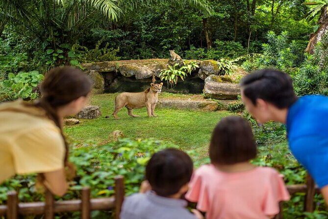 Singapore Zoo with Tram Ride Experience for Tourist - Final Thoughts