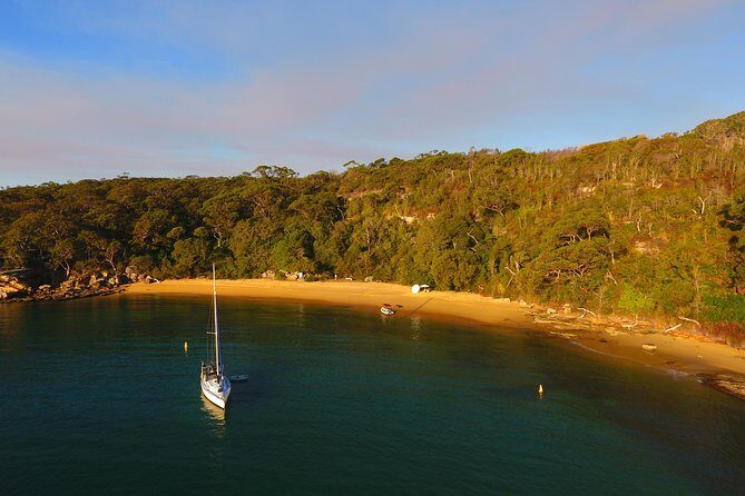 Single Kayak Hire - 4 Hours - The Experience: What You Can Expect at Manly Kayak Centre