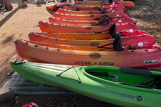 Single Kayak Rental - Exploring Fort Worth from the Water