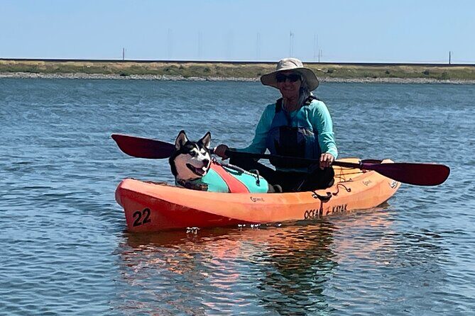 Single Kayak Rental - Why This Experience is Worthwhile