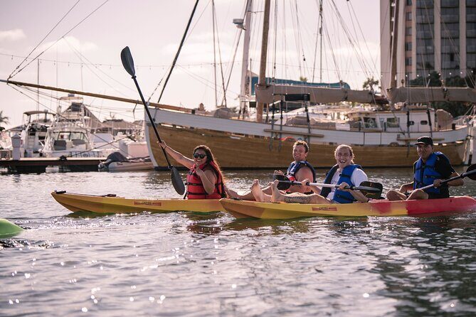 Single Kayak Rental in Mission Bay - Who Is This Experience Best For?