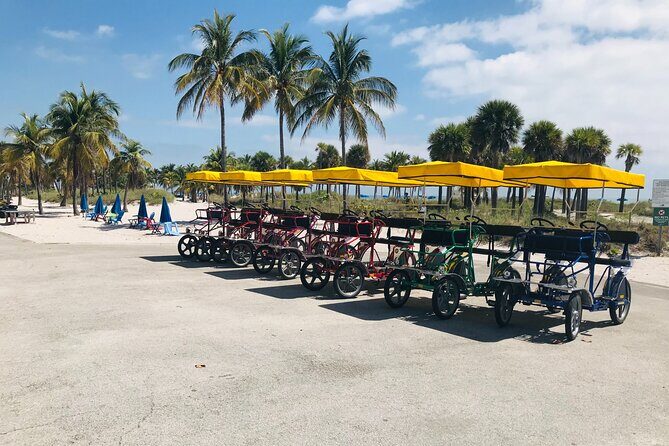 Single Quadricycle Rental at Crandon Park - The Cost and Its Value