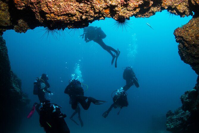 Single Scuba Try-Dive in Puerto del Carmen - small groups - 2 hours - Post-Dive and Reflection