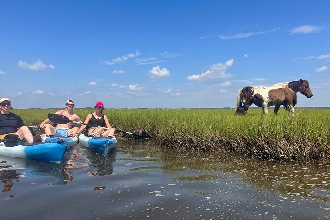 Single Sit on Top Kayak Rental at Assateague Island, MD - Analyzing the Value