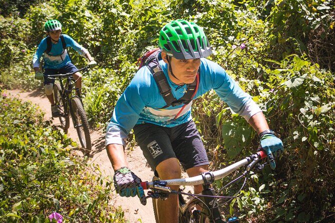 SINGLETRACK MOUNTAIN BIKE - Guided through the jungle - Authentic Feedback from Participants