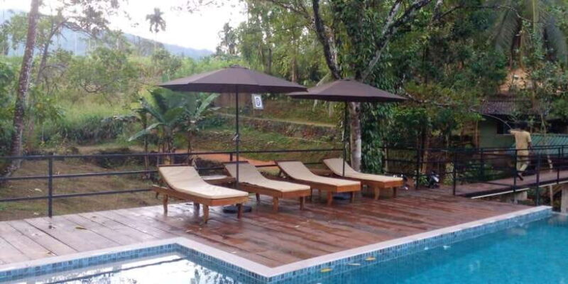 Sinharaja Forest Reserve Glamping with BBQ Night - Key Points