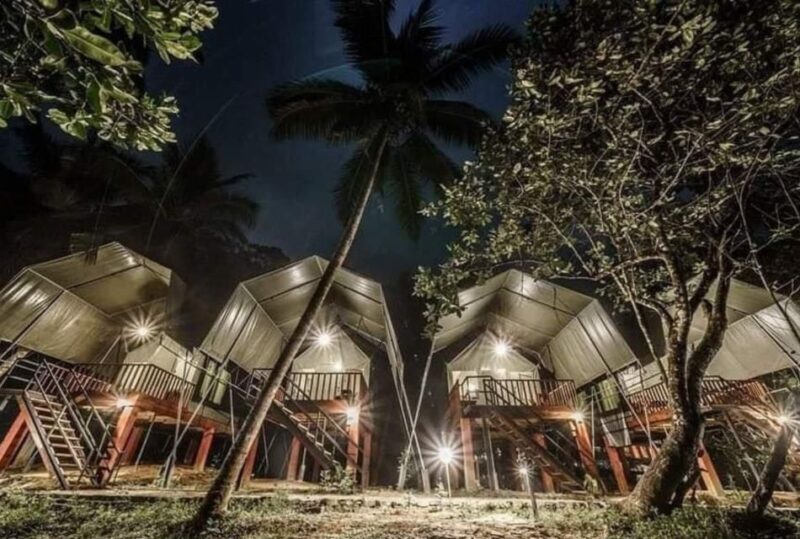 Sinharaja Forest Reserve Glamping with BBQ Night - Final Thoughts: Who Is This Tour Best For?