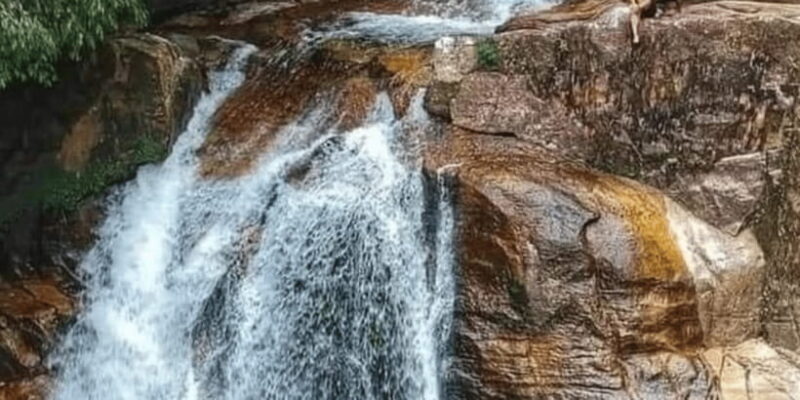 Sinharaja Forest Reserve Glamping with BBQ Night - FAQs