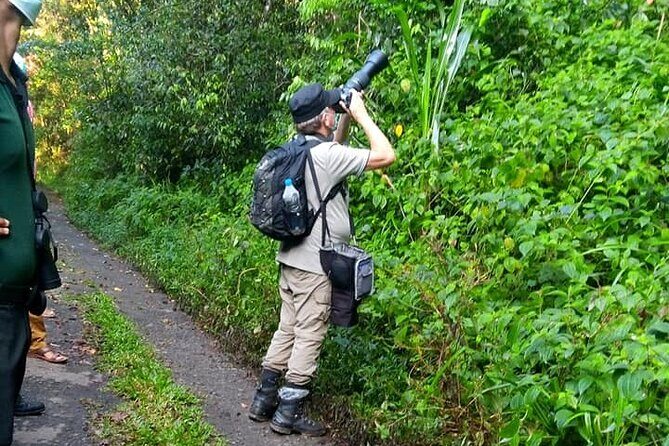 Sinharaja Rain Forest Bird Watching Guided Private Tour - Key Points