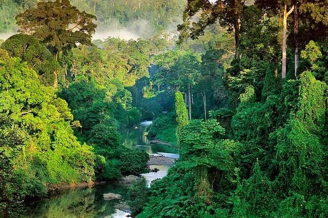 Sinharaja Rain Forest Guided Day Tour From Colombo and Negombo - Final Thoughts: Is It Worth It?
