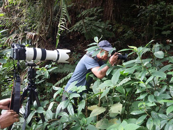 Sinharaja Rain Forest One Day - What the Reviews Say