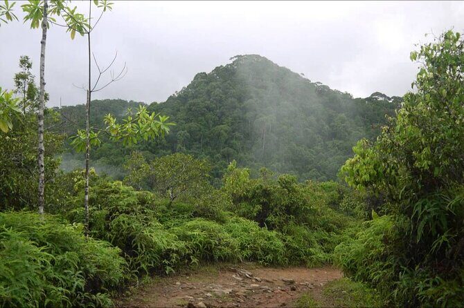 Sinharaja Rain Forest Tour from Bentota - FAQ