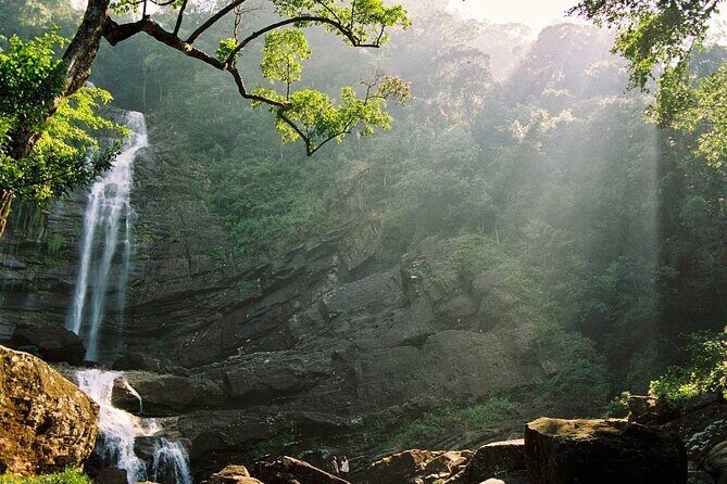 Sinharaja Rain Forest Tour from Tangalle - Is It Worth the Price?
