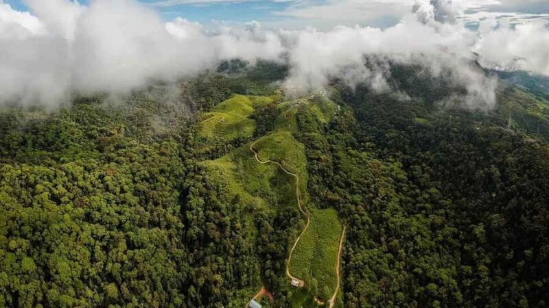 Sinharaja Rain Forest (UNESCO) & Eco 3-Day Tour with Hotel - Key Points