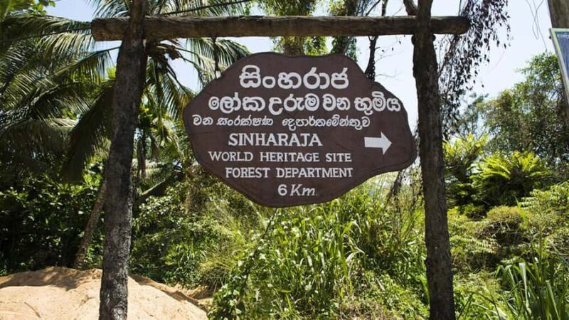 Sinharaja Rain Forest (UNESCO) & Eco 3-Day Tour with Hotel - Practical Advice for Travelers