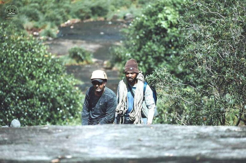 Sinharaja Rain Forest UNESCO Walk and Bird Watching Day Tour - Is the Price Worth It?