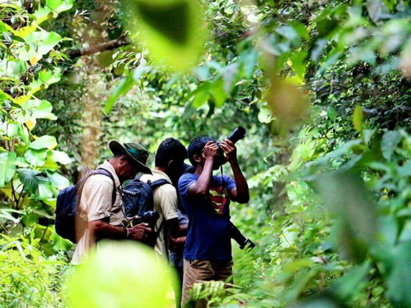 Sinharaja Rain Forest UNESCO Walk and Bird Watching Day Tour - The Practicalities