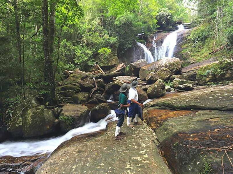 Sinharaja Rain Forest UNESCO Walk and Bird Watching Day Tour - FAQ About the Sinharaja UNESCO Walk and Bird Watching Tour