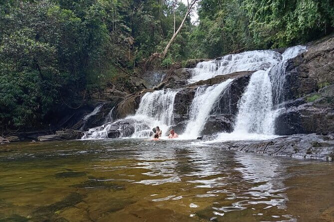 Sinharaja Rain Forest Waterfall Tour - FAQs