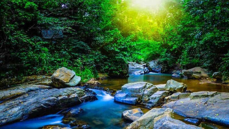 Sinharaja Rainforest: Guided Day Tour from Bentota/Colombo - Frequently Asked Questions