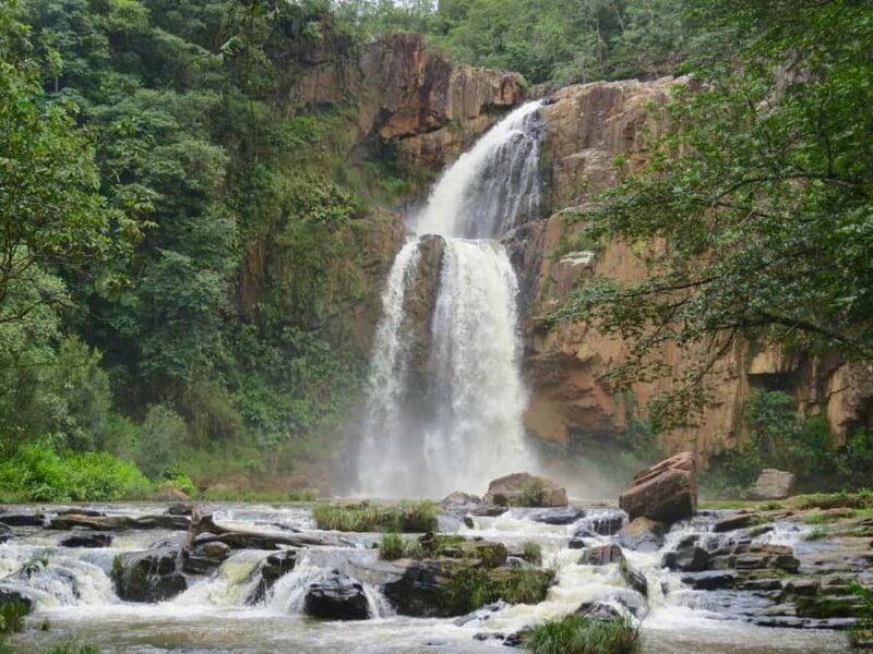 Sinharaja Rainforest: Nature Tour with Local Guide - Key Points