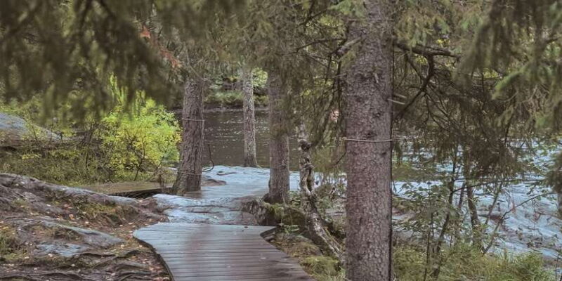 Sinharaja Rainforest Private & Customize Tour - Key Points