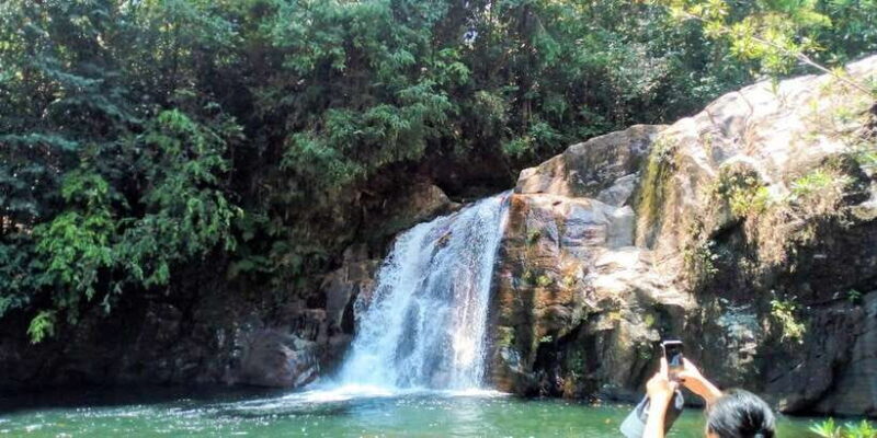 Sinharaja Rainforest Private & Customize Tour - Potential Drawbacks or Considerations