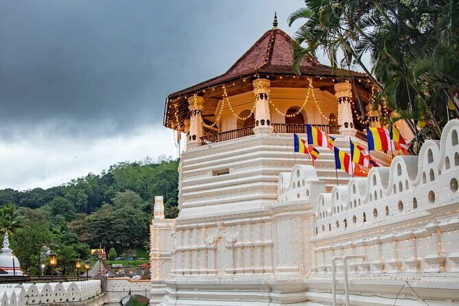 Sinharaja Rainforest Private Day Tour from Galle - Who Should Consider This Tour?