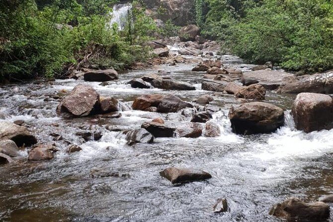 Sinharaja RainForest Private Full Day Tour - Who Will Love This Tour?